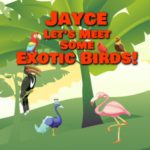 Let’s Meet Some Exotic Birds! – Chilkibo Publishing